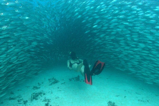 Mayan Adventure from Playa del Carmen - Exploring the Itinerary