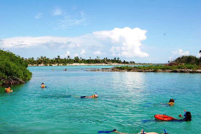 Mayan Adventure Snorkeling Tour from Playa del Carmen or Riviera Maya - The Sum Up: Who Should Consider This Tour?