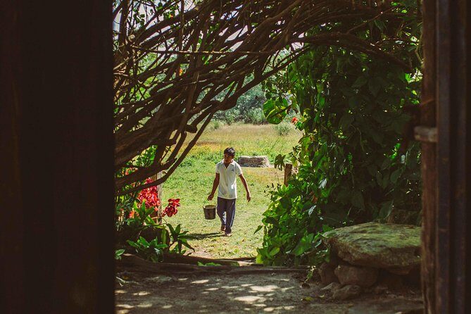 Mayan Backroads Private Bike Tour from Tulum - Practical Tips for Participants