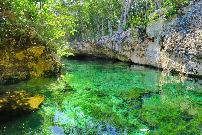 Mayan Cenotes Experience with Mayan Ruins or Local Community - Who Will Love This Tour?