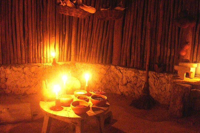 Mayan Ceremonial Night: Temazcal, Cenote Swim and Dinner from Playa del Carmen - Who Will Love This Tour?