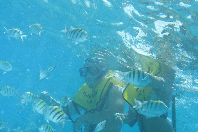 Mayan Ruins and Beach Time - FAQs about the Mayan Ruins and Beach Tour in Cozumel