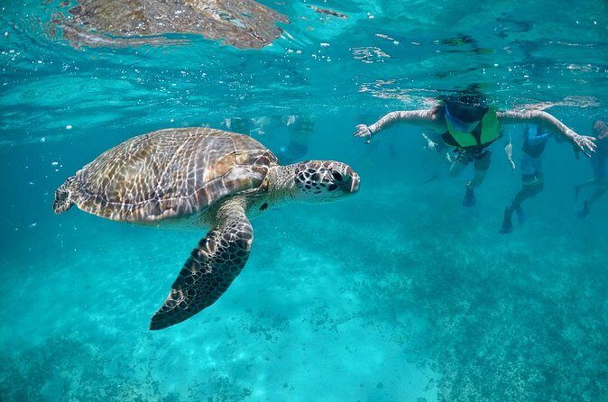 Mayan snorkeling (Akumal-Cenote-Caverna) - Final Thoughts: Who’s This Tour For?