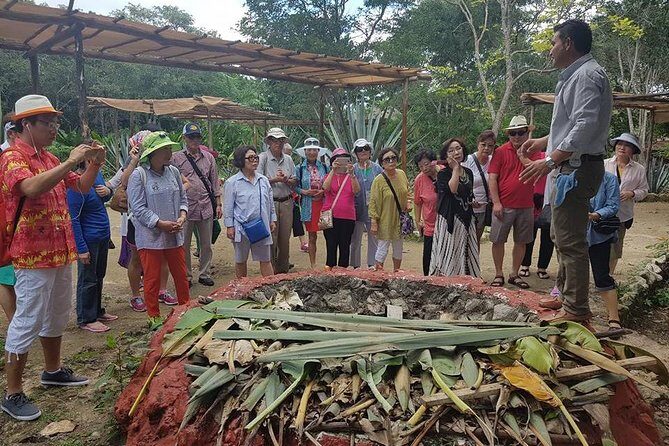 Mayan Village and Tequila Tour - An In-Depth Look at the Tour Experience