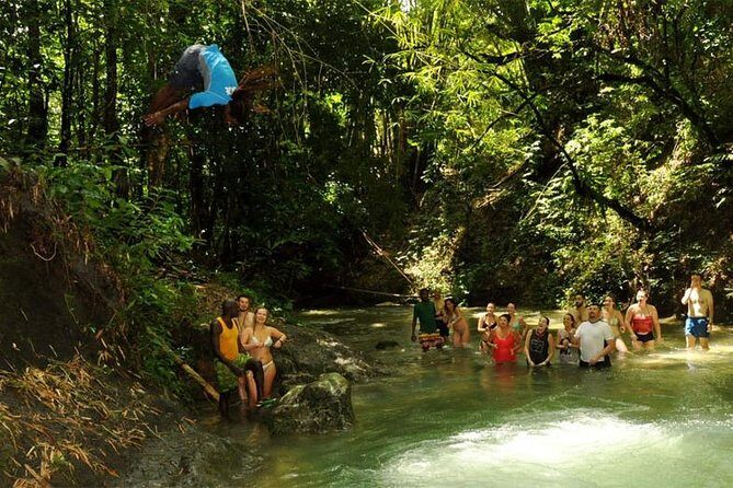 Mayfield Falls from Montego Bay - Who Will Love This Tour?