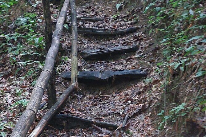 Mayfield Falls nature walk - FAQs