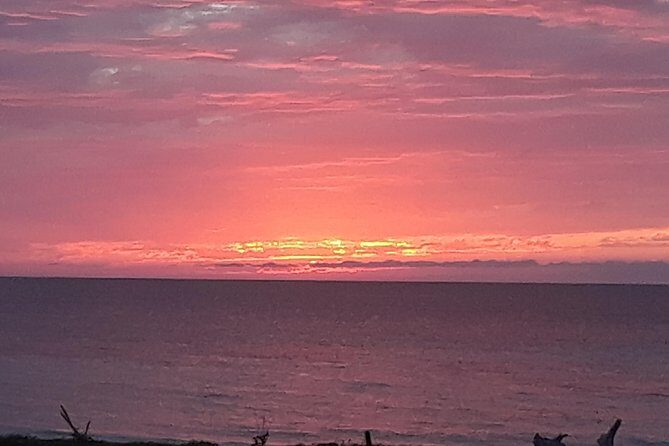 Mayfield Falls nature walk & Negril Hi-light Ricks Cafe - What Reviews Say (Based on Available Feedback)