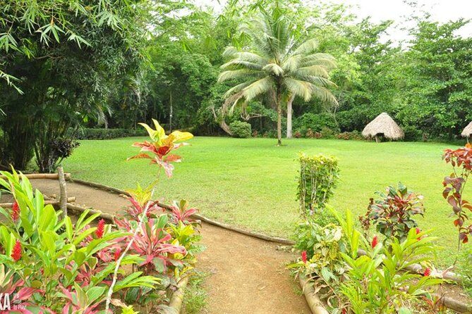 Mayfield Falls Private Tour - Authentic Reviews and Insights