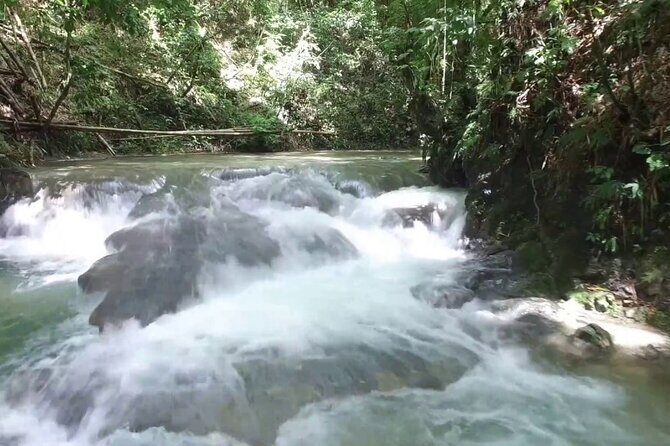 Mayfield Falls River Walk Private Tour - Authenticity and Experience: What You’ll Take Home