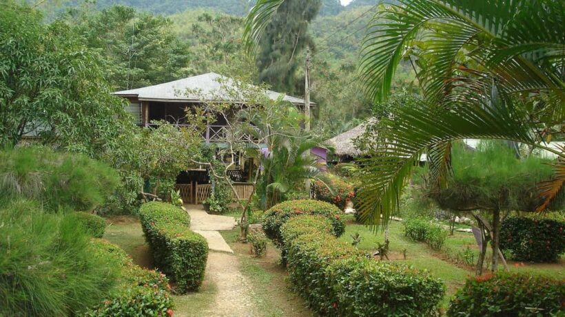 Mayfield Falls River Walk with Private Transportation - Discovering Mayfield Falls: An Authentic Jamaican Experience