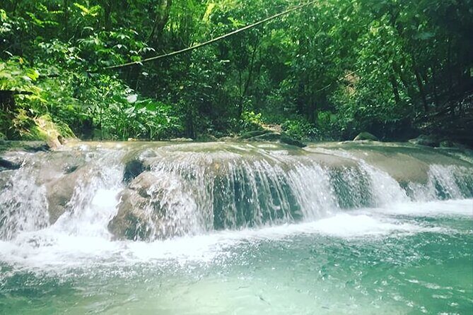 Mayfield Falls Tour with Lunch, drink, Entry & Transp(Original) - Who Is This Tour Best For?