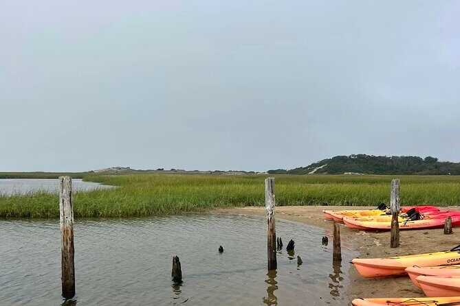 Mayflower Trolley Tour! - What You’ll See and Experience