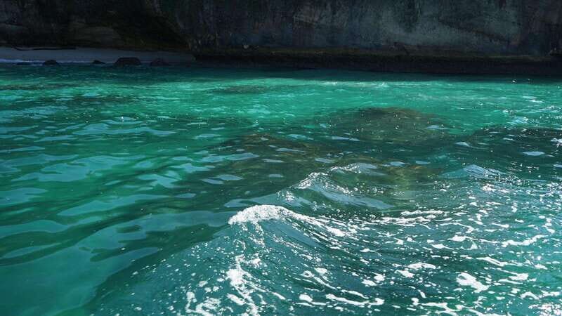 Mazatlan 3 Islands Snorkeling and Bird Watching Tour - Final Thoughts: Is It Worth It?