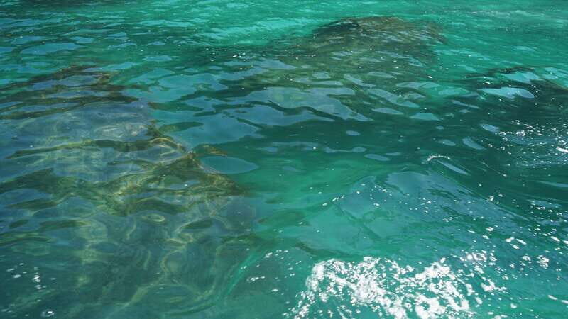 Mazatlan 3 Islands Snorkeling and Bird Watching Tour - FAQ