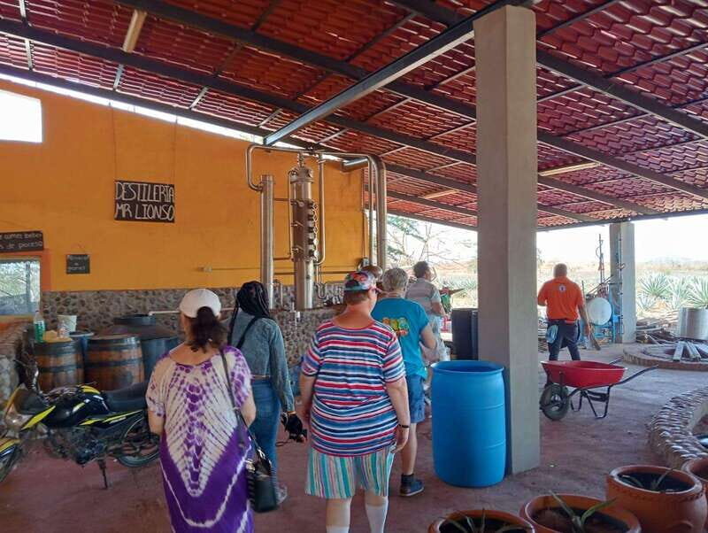 Mazatlán: Beach & Jungle ATV Tour w/ Lunch & Tequila Tasting - FAQ