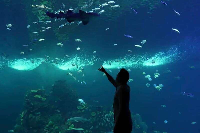 Mazatlan: Grand Aquarium Ticket and City Sightseeing Tour - Marine Conservation and Education