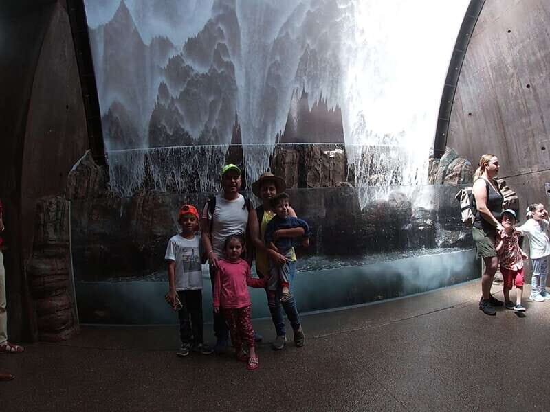 Mazatlan: Grand Aquarium Ticket and City Sightseeing Tour - The City Tour: Authentic Mazatlan in Motion