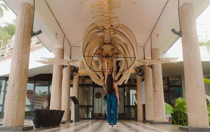 Mazatlán: MUNBA Interactive Ocean Museum Entry Ticket - A Deep Dive Into the MUNBA Experience