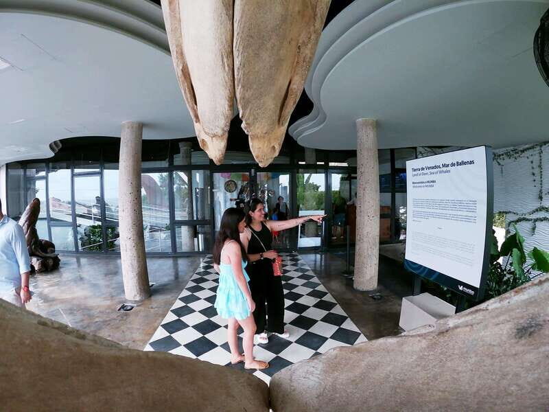 Mazatlán: Observatorio 1873 Cultural & Nature Experience - Who Should Consider This Tour?