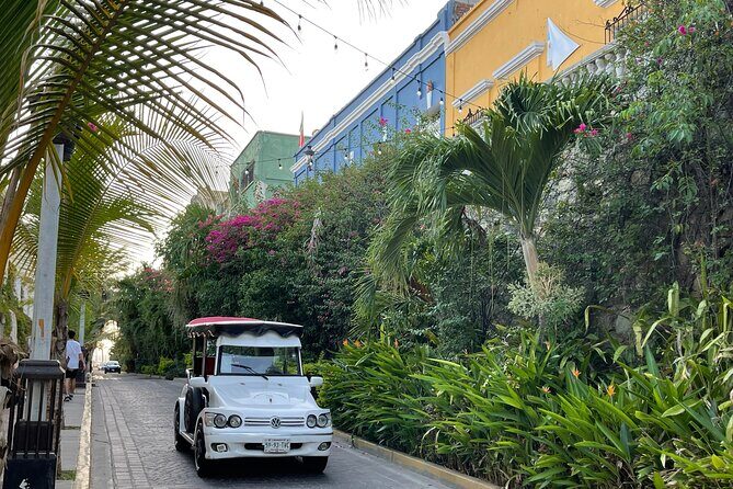 Mazatlan Pulmonia Experience - FAQ