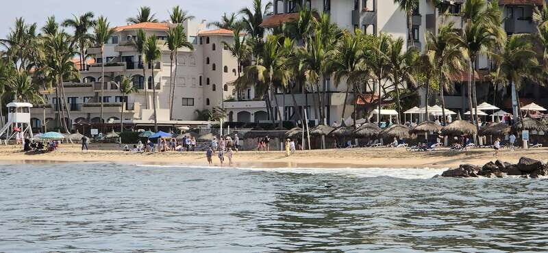 Mazatlan: Sea lions and snorkeling - The Itinerary: What You Can Expect