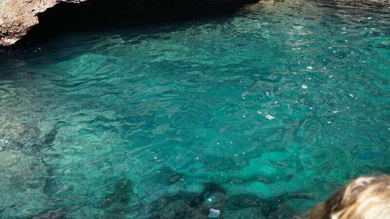 Mazatlan: Sea lions and snorkeling - Why Choose This Tour?