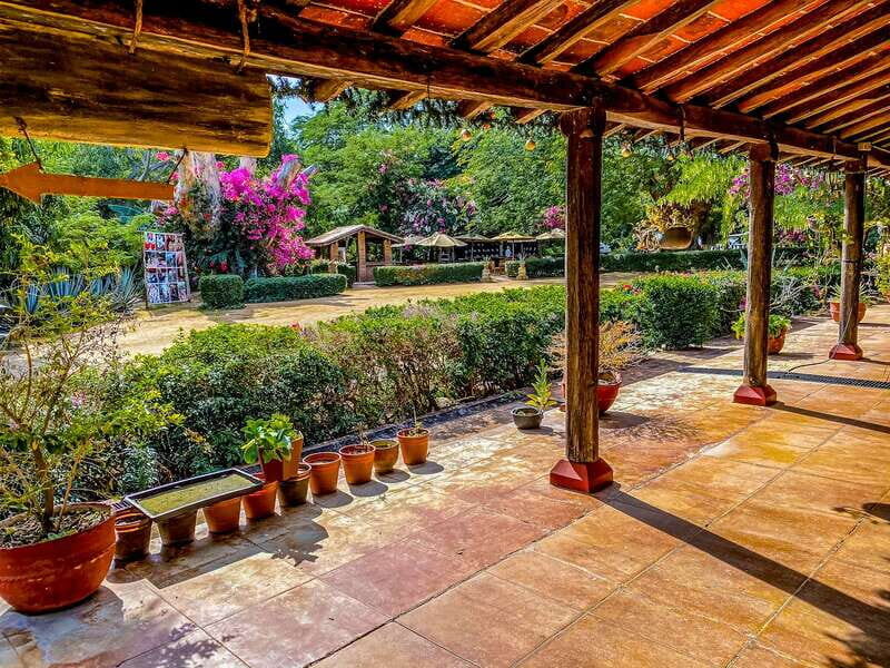 Mazatlán: Tequila Factory & Country Sightseeing - A Detailed Look at the Tour Experience