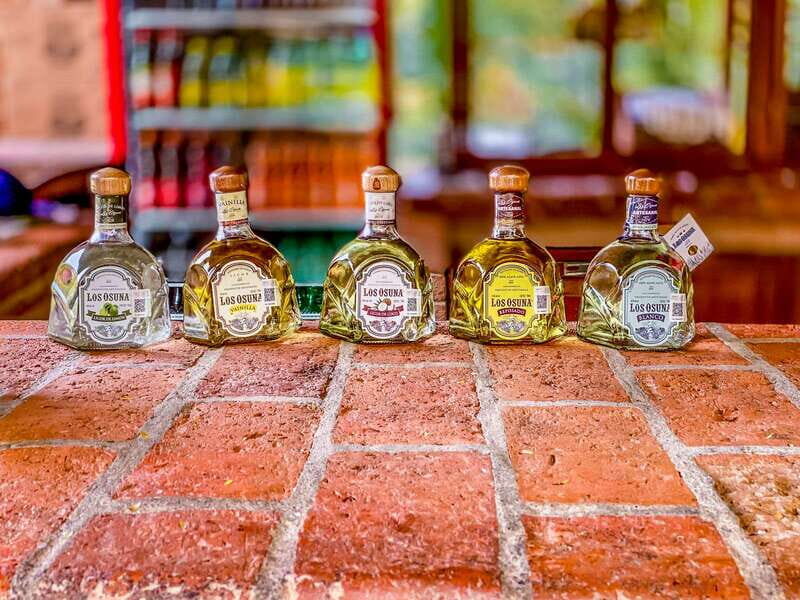Mazatlán: Tequila Factory & Country Sightseeing - Is This Tour Right for You?