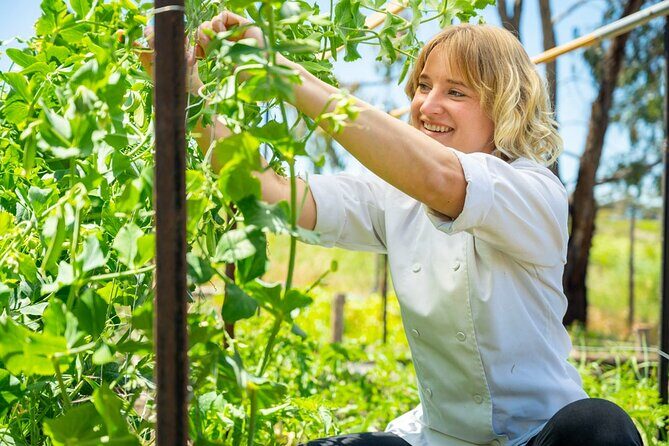 McLaren Vale 4x4 Premium Food and Wine Tour with Private Lunch - Transportation and Group Size