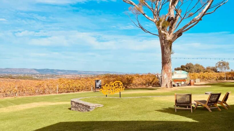 McLaren Vale and Historic Hahndorf Wine Tour - FAQ