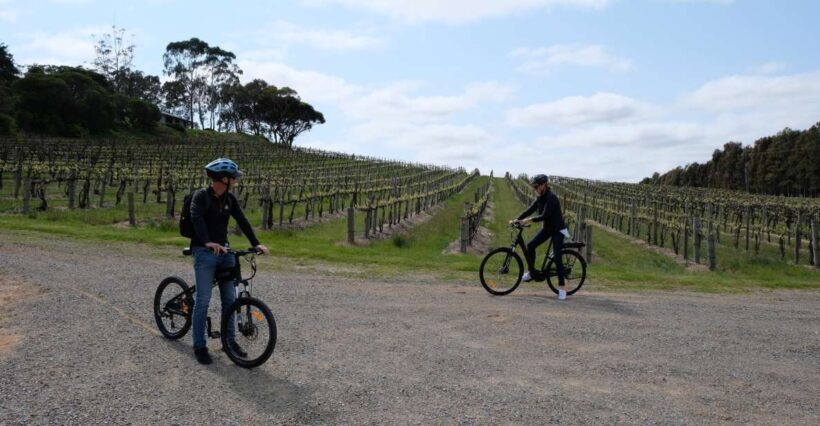 McLaren Vale: E-Bike Rental to Explore the Vineyards - Why choose the McLaren Vale E-Bike Experience?