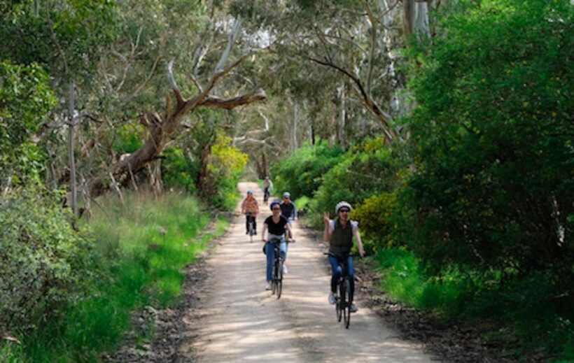 McLaren Vale: E-Bike Rental to Explore the Vineyards - What to Expect During Your Ride
