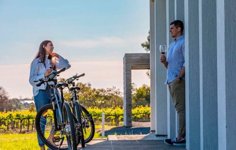 McLaren Vale: E-Bike Rental to Explore the Vineyards - Price and Value Analysis