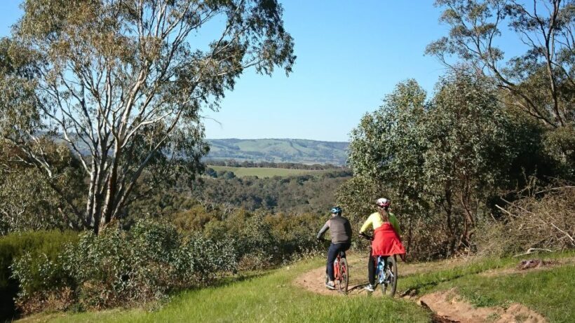 Mclaren Vale Hills Vines and Wines Bike Tour from Adelaide - The Sum Up