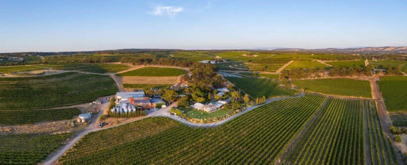 McLaren Vale North: Hop-On Hop-Off Tour - Exploring the McLaren Vale North Hop-On Hop-Off Tour: An In-Depth Review