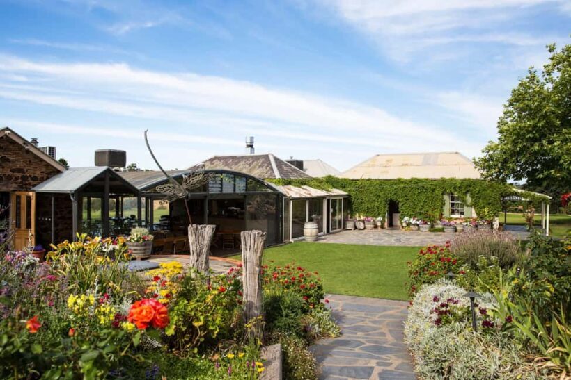 McLaren Vale North: Hop-On Hop-Off Tour - In The Sum Up