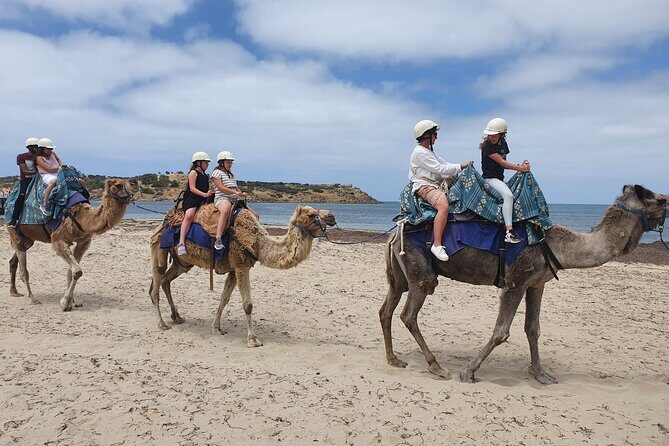 McLaren Vale, Port Elliot and Victor Harbor Minibus Tour - Practical Details and What to Expect