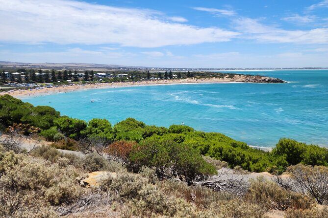McLaren Vale, Port Elliot and Victor Harbor Minibus Tour - Who Will Enjoy This Tour?