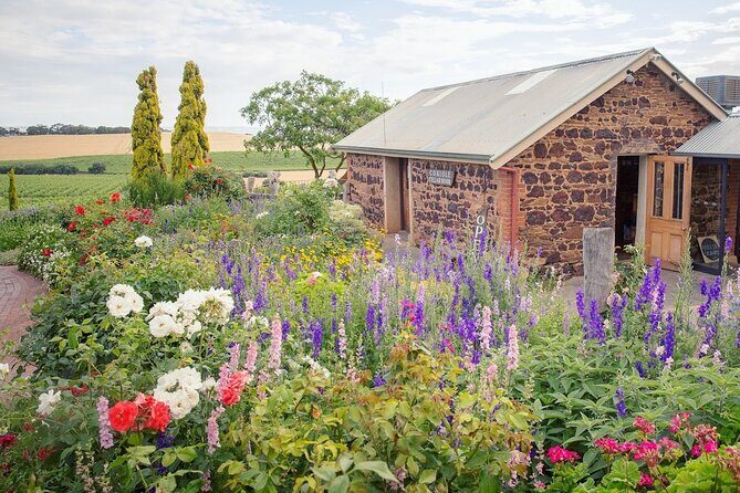McLaren Vale Private Wine Tour - The Itinerary in Detail