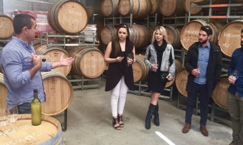 McLaren Vale: Small Group Wine Tour (Includes Lunch) - Wine Tastings and Costs