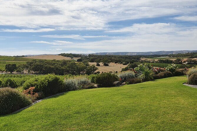 McLaren Vale Small Shared Tour with Wine Tasting and Lunch - Why This Tour Offers Great Value