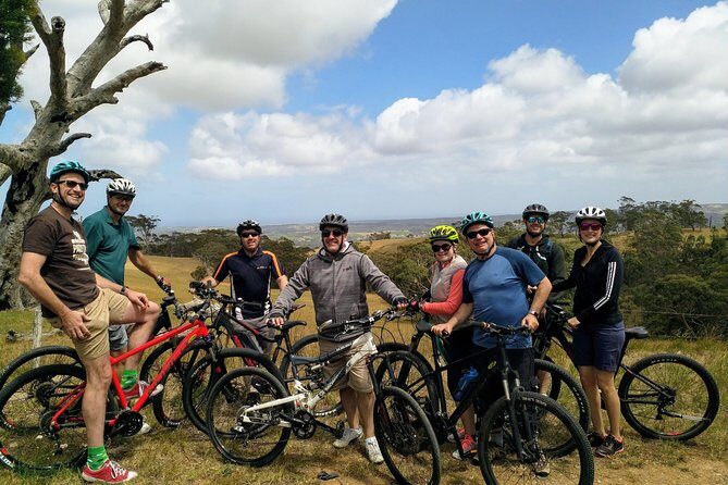 McLaren Vale Wine Tour by Bike - Setting the Scene: What to Expect on the Day