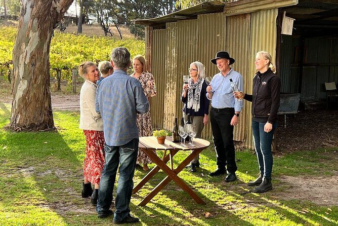McLaren Vale Winery Small Group Tour with Wine Tasting and Lunch - Practical Details & Tips