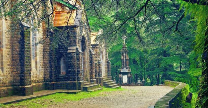 Mcleodganj Nature Trek (3 Hours Guided Walking Tour) - Who Should Consider This Tour?