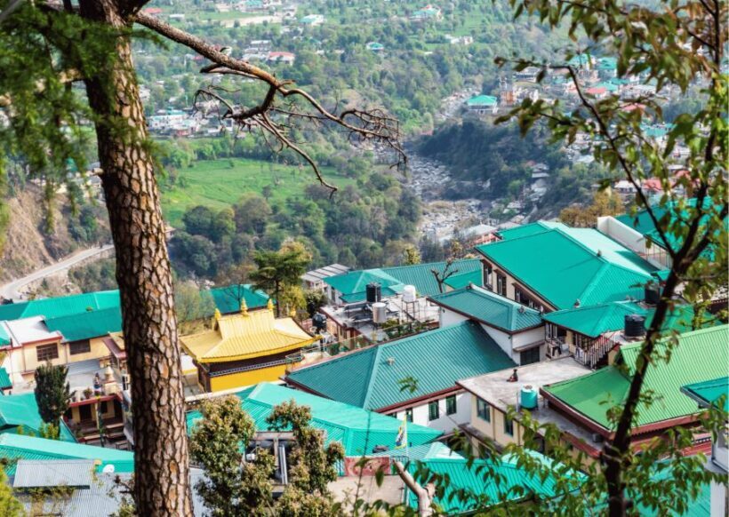 Mcleodganj Nature Trek (3 Hours Guided Walking Tour) - Final Thoughts