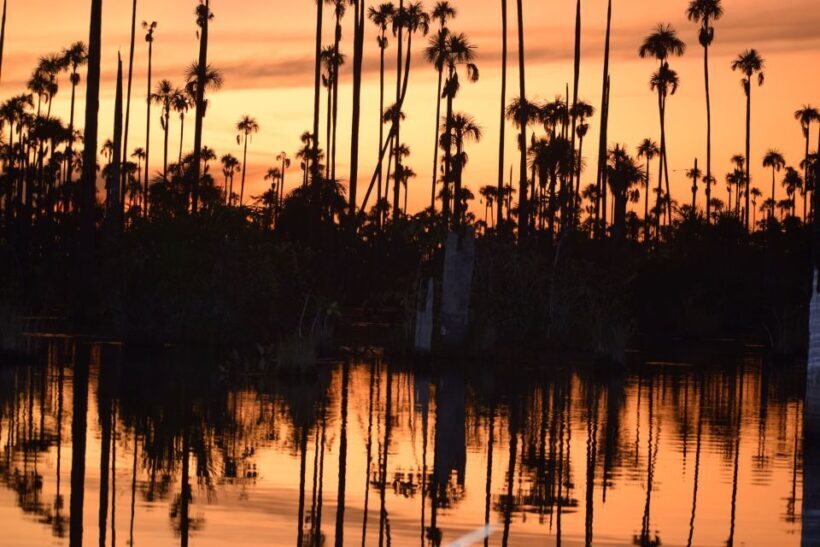 MDD: Yacumama Lake and Piranha fishing - Who Should Consider This Tour