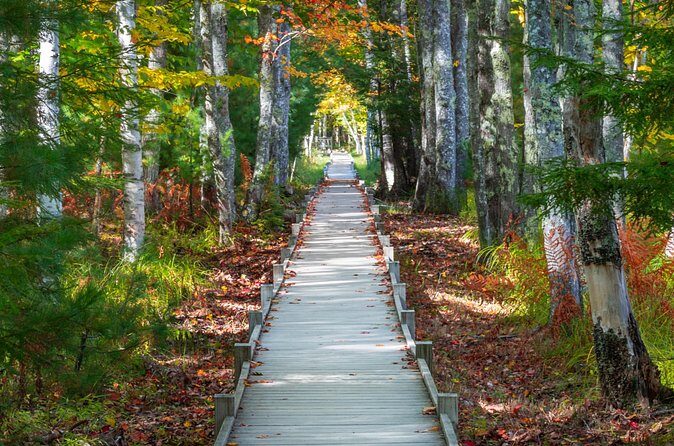 MDI Private Discovery Tour - Explore Beyond Acadia (five hours) - Final Thoughts: Is This Tour Right for You?