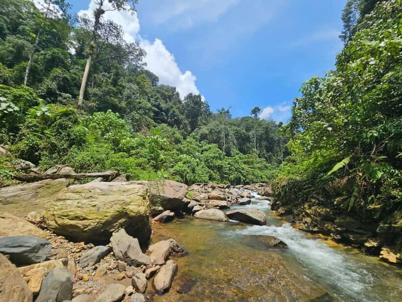 Medan: 7-Day Bukit Lawang Orangutan Exploration Package - FAQs