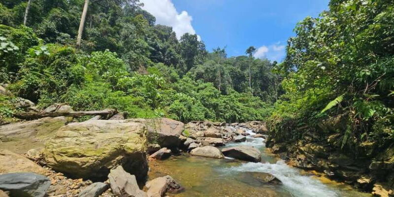 Medan: 7-Day Bukit Lawang Orangutan Exploration Package - FAQ