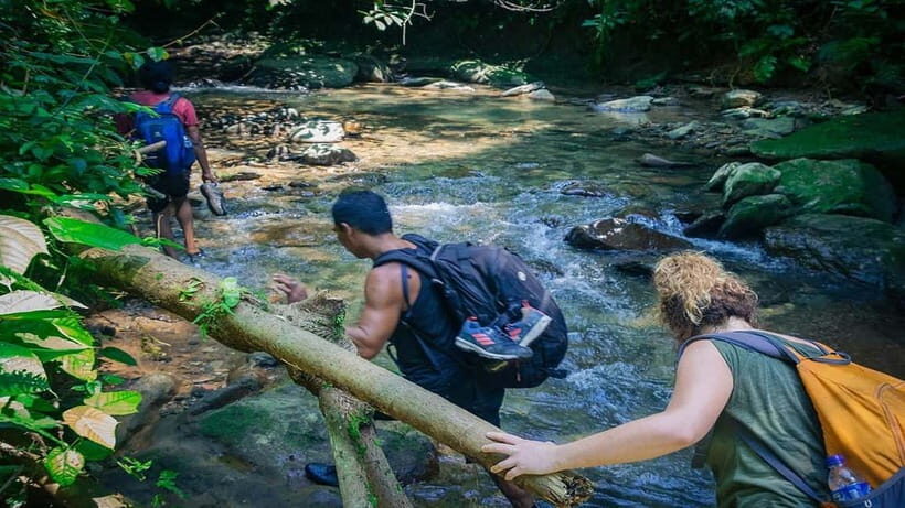Medan Day Tour: Bukit Lawang Orangutan Trekking - The Overview: What Makes This Tour Stand Out